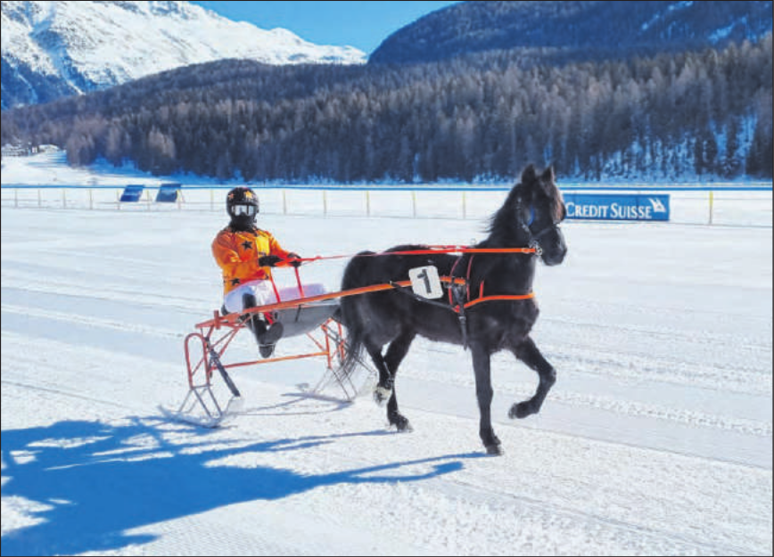 Doppelerfolg für Müheler Reiterin | Wynentaler Blatt