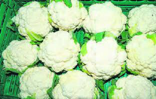 Gegessen wird die Blüte | Wynentaler Blatt