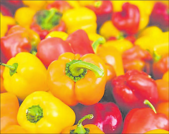 Peperoni: Vitamine in Hülle und Fülle | Wynentaler Blatt